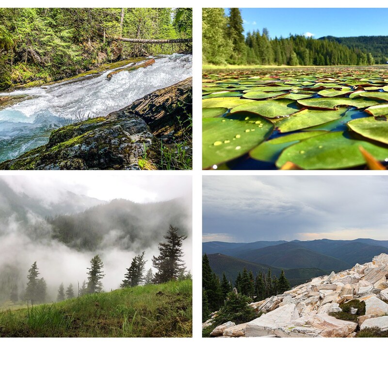 Scenic Postcards - Etsy
