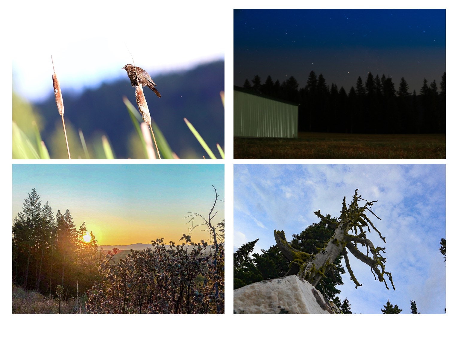Outdoor Postcards.assorted Scenic Postcards. Sets of 4. Scenic ...