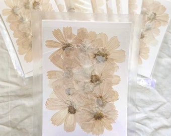 Cosmos Dried Flowers - Etsy