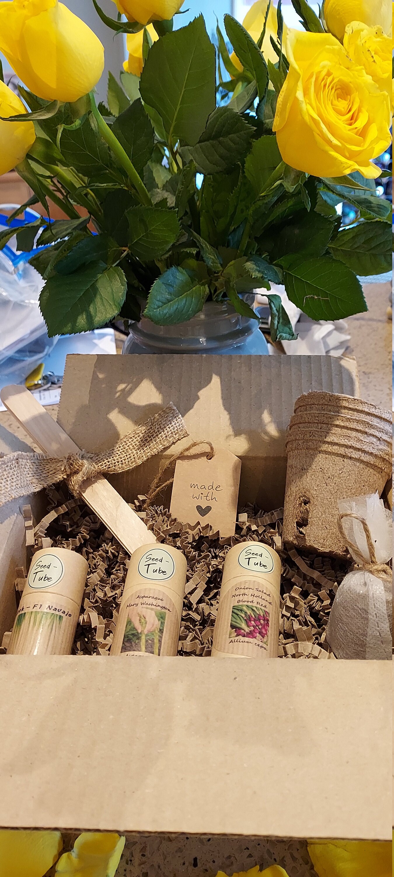 Vegetable Seed Gift Set Grow Your Own Onions Asparagus & | Etsy UK