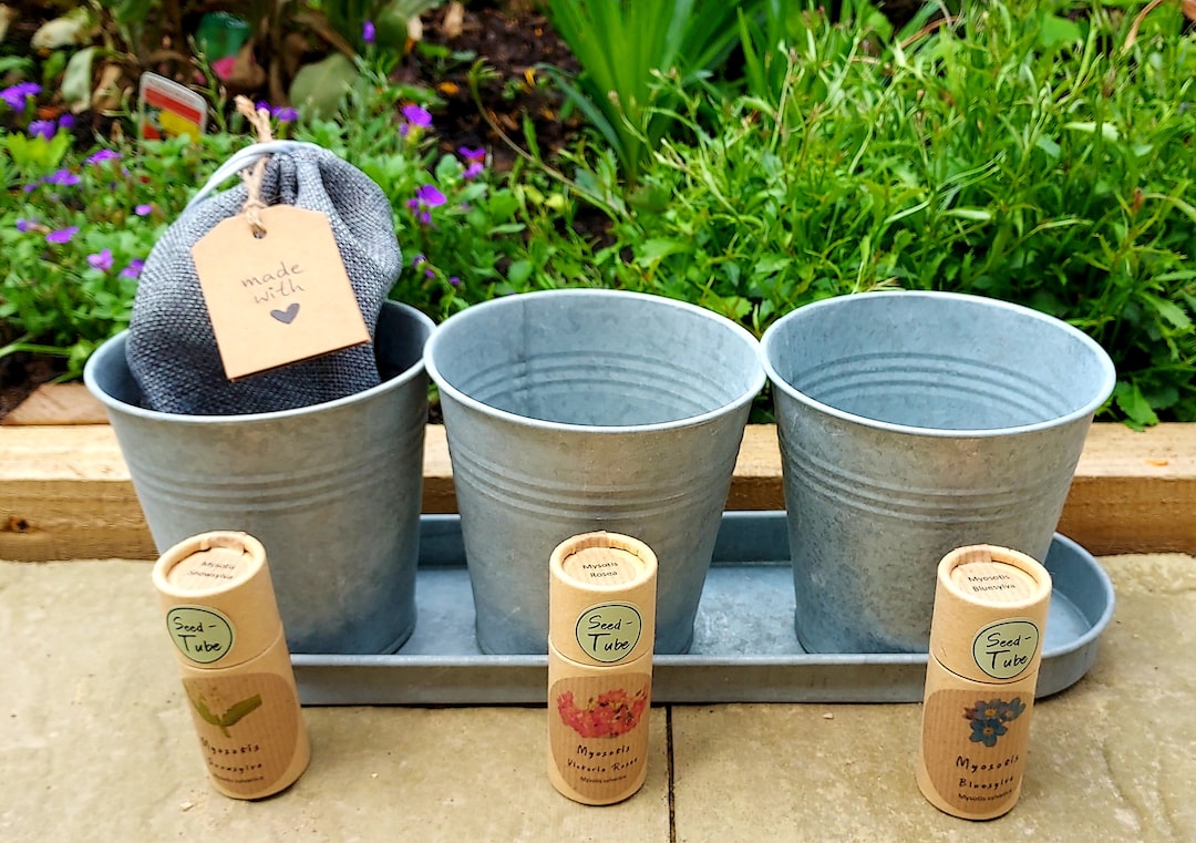 Forget Me Not Gift Set - With 3 Pots & Tray in Various Designs - Etsy UK