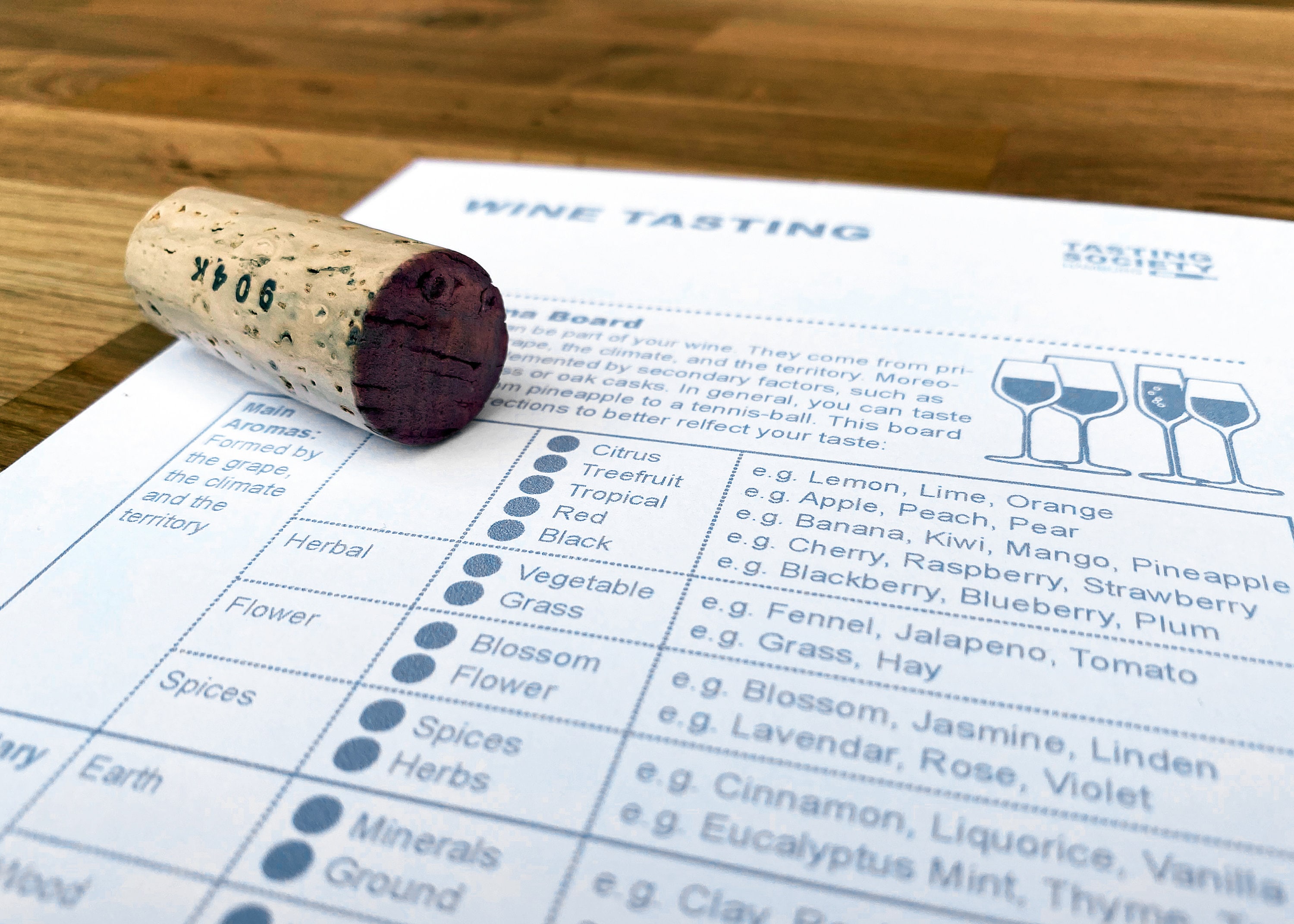 Wine Tasting Basics at Tammy Moran blog