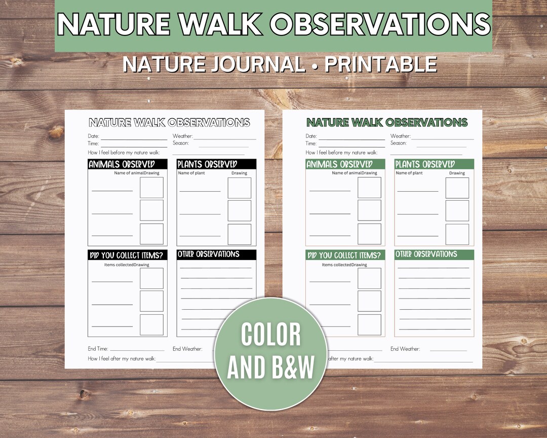 Nature Walk Observation Activity | Outside Nature Activity ...