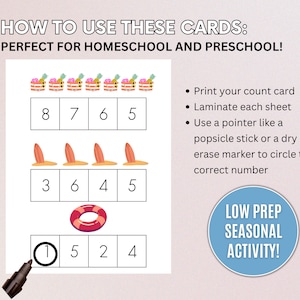 Summer Themed Counting Cards for Kids | Counting Activity for Kids ...