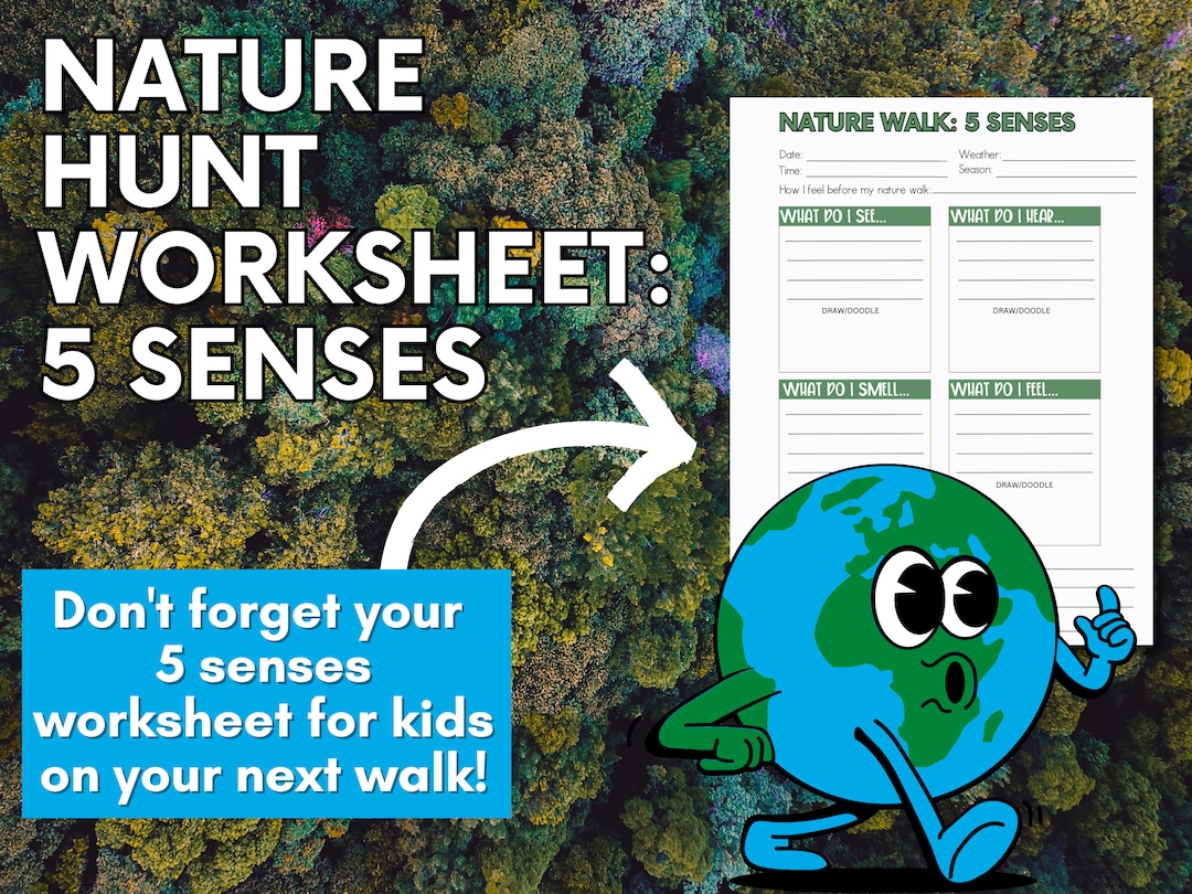 Nature Walk 5 Senses Work Nature Walk Activity for Kids 5 - Etsy