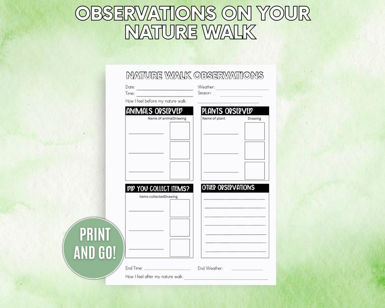 Nature Walk Observation Activity Outside Nature Activity Observation ...