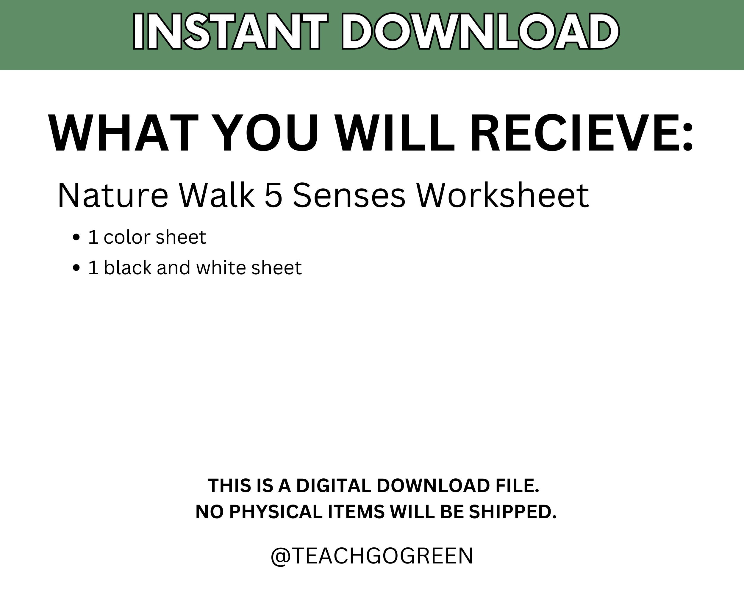 Nature Walk 5 Senses Work | Nature Walk Activity for Kids | 5 Senese ...