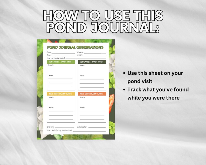 Pond Journal Observations Sheet | Learn All About Ponds | Pond Activity ...