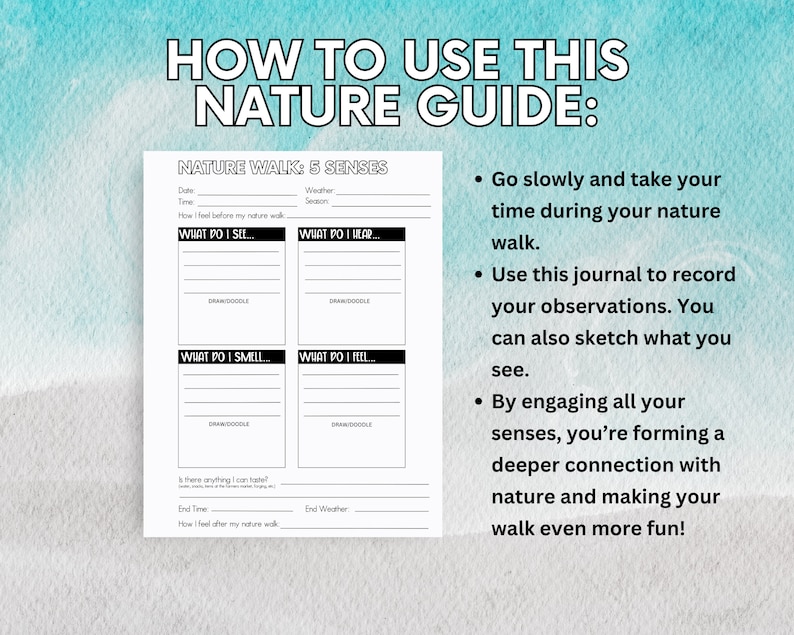 Nature Walk 5 Senses Work | Nature Walk Activity for Kids | 5 Senese ...