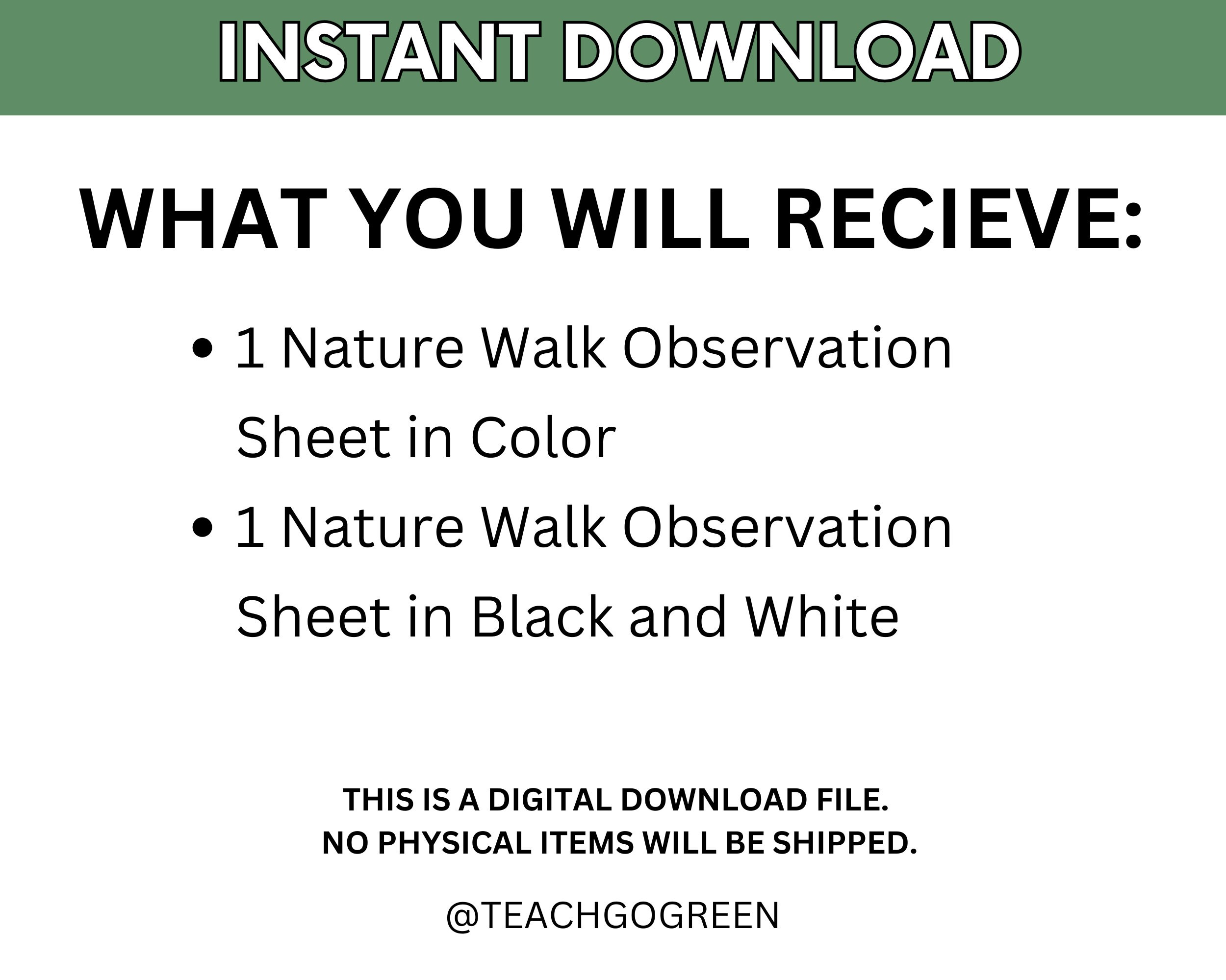 Nature Walk Observation Activity | Outside Nature Activity ...