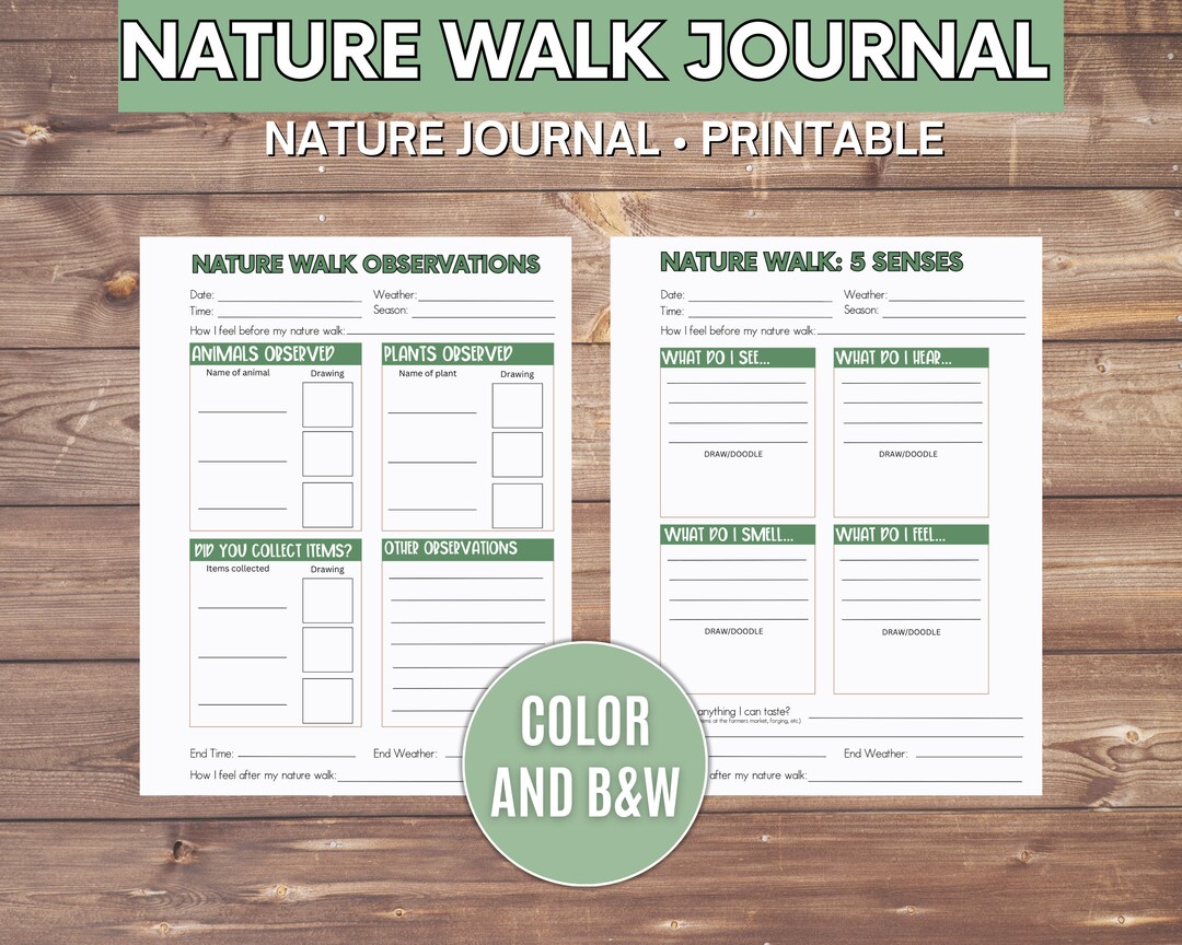 Nature Walk Journal | Science Journal | Outdoor Activity for Students ...