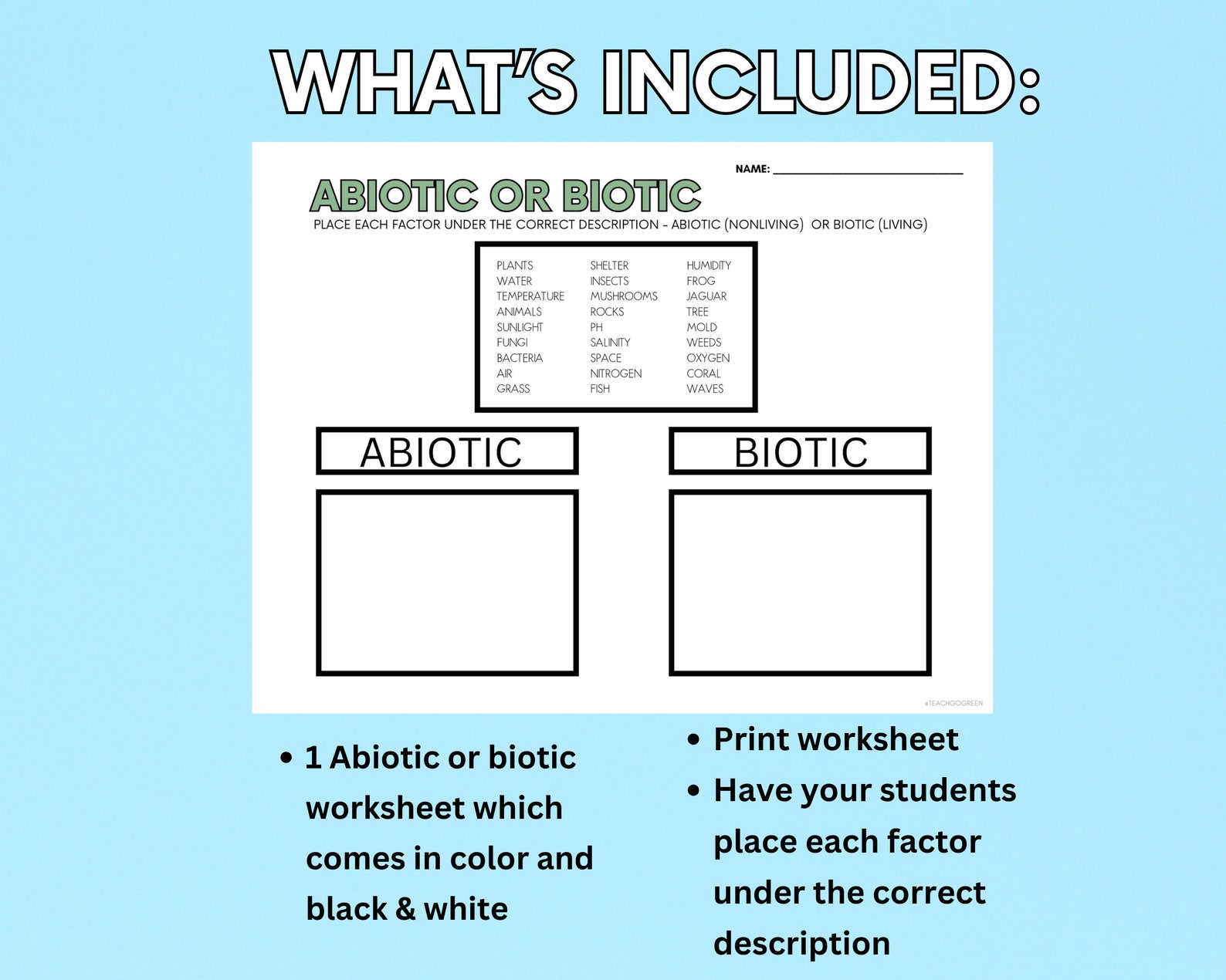 Abiotic and Biotic Worksheet Printable | Ecosystem Worksheet With ...