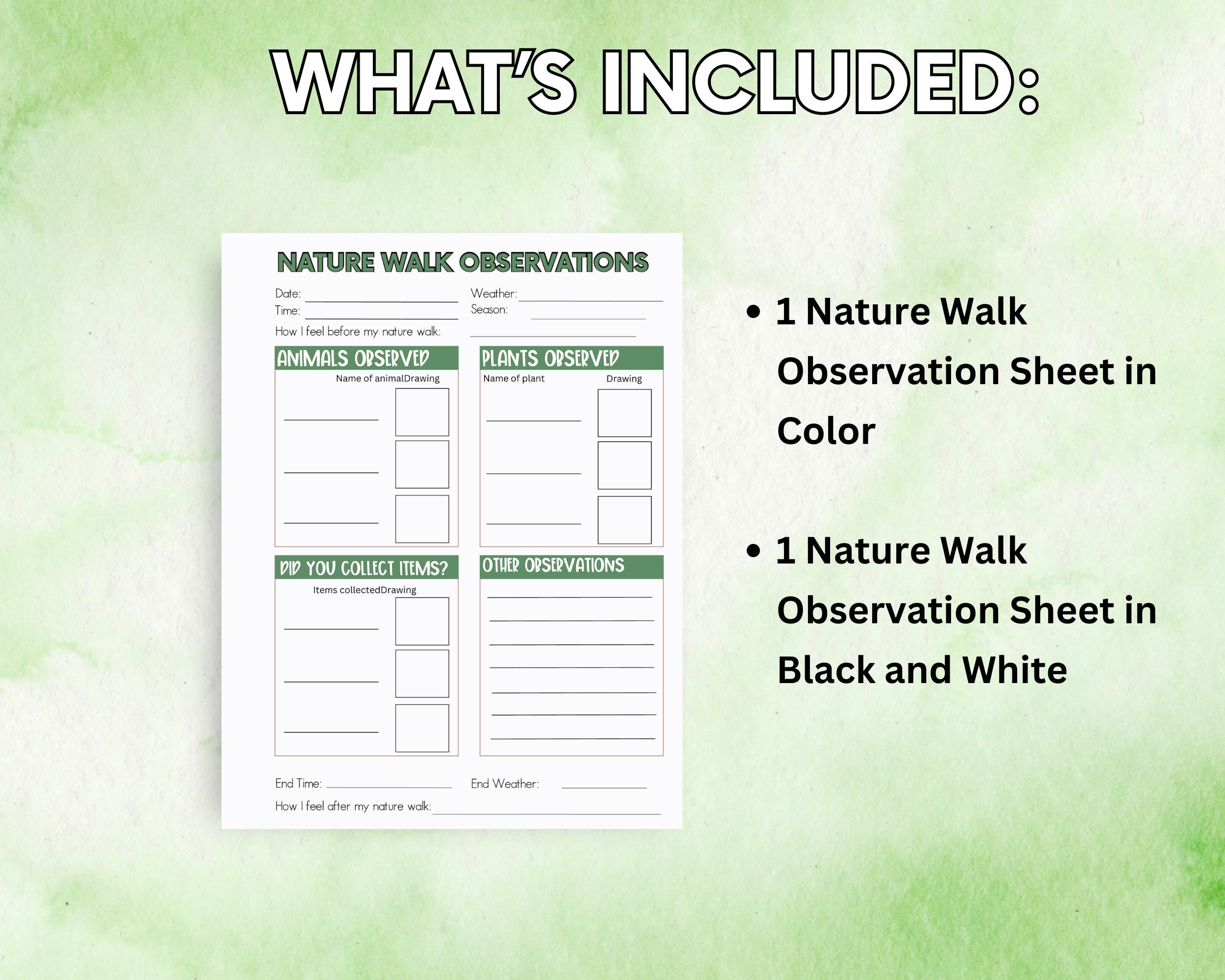 Nature Walk Observation Activity | Outside Nature Activity ...