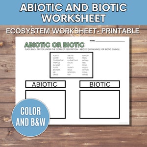 Abiotic and Biotic Worksheet Printable | Ecosystem Worksheet With ...
