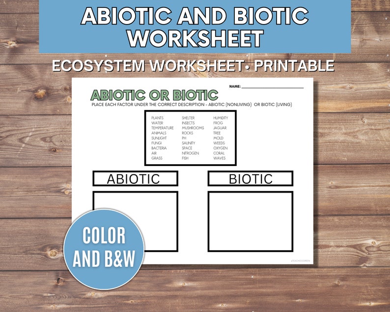 Abiotic and Biotic Worksheet Printable | Ecosystem Worksheet With ...