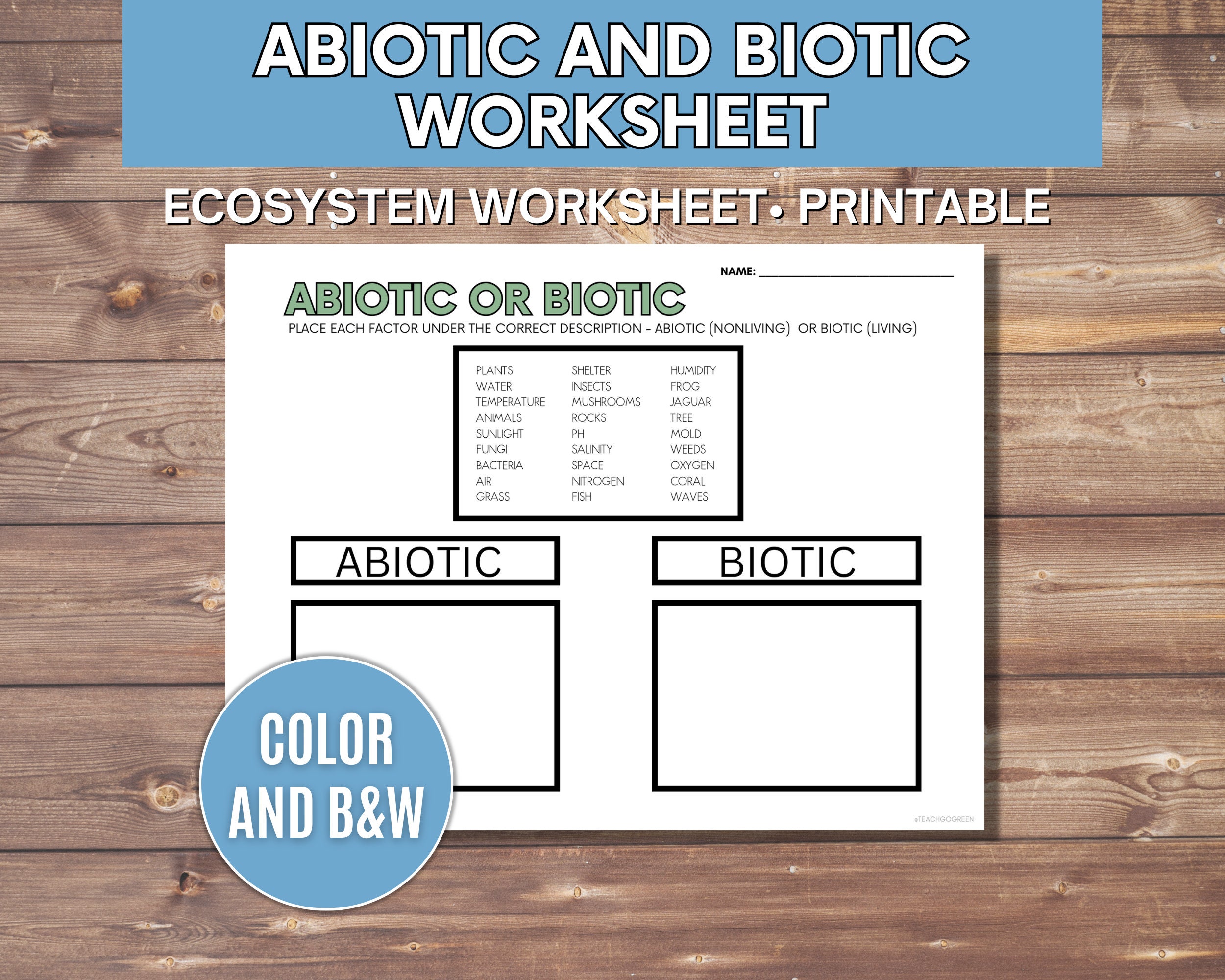 Abiotic and Biotic Worksheet Printable Ecosystem Worksheet With Answer ...