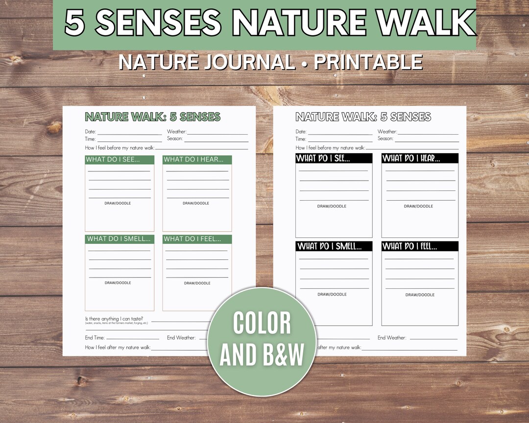 Nature Walk 5 Senses Work | Nature Walk Activity for Kids | 5 Senese ...