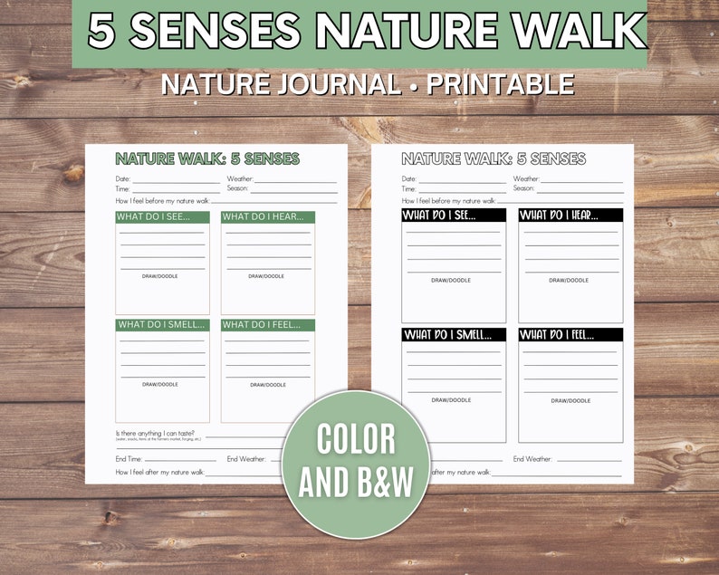 Nature Walk 5 Senses Work | Nature Walk Activity for Kids | 5 Senese ...