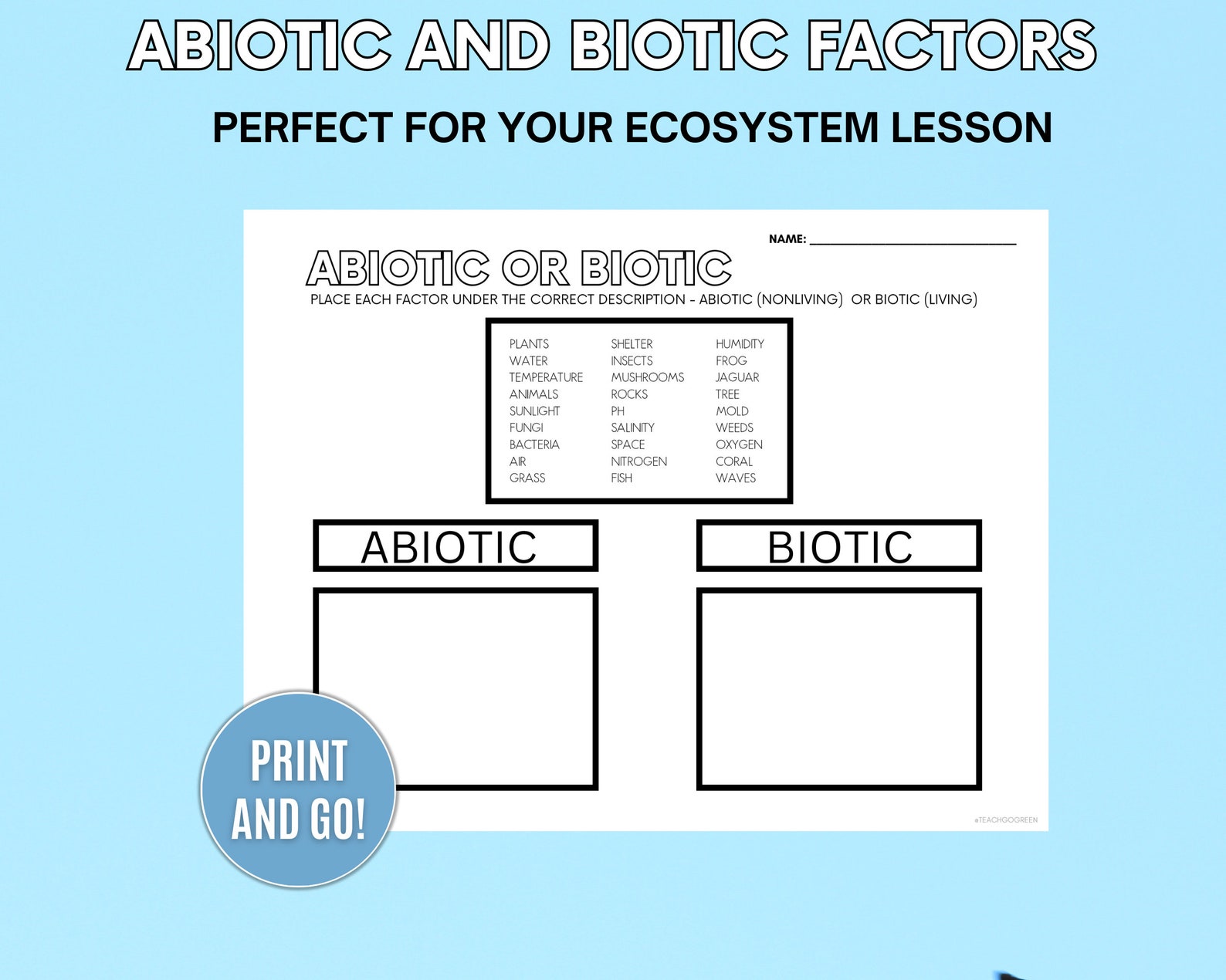 Abiotic and Biotic Worksheet Printable | Ecosystem Worksheet With ...