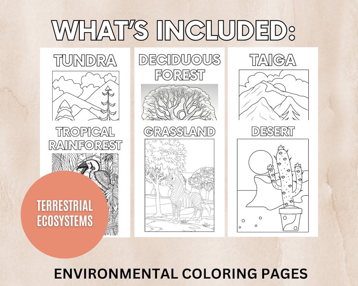 Ecosystem Coloring Pages Activity | Nature Scenes Coloring Book ...