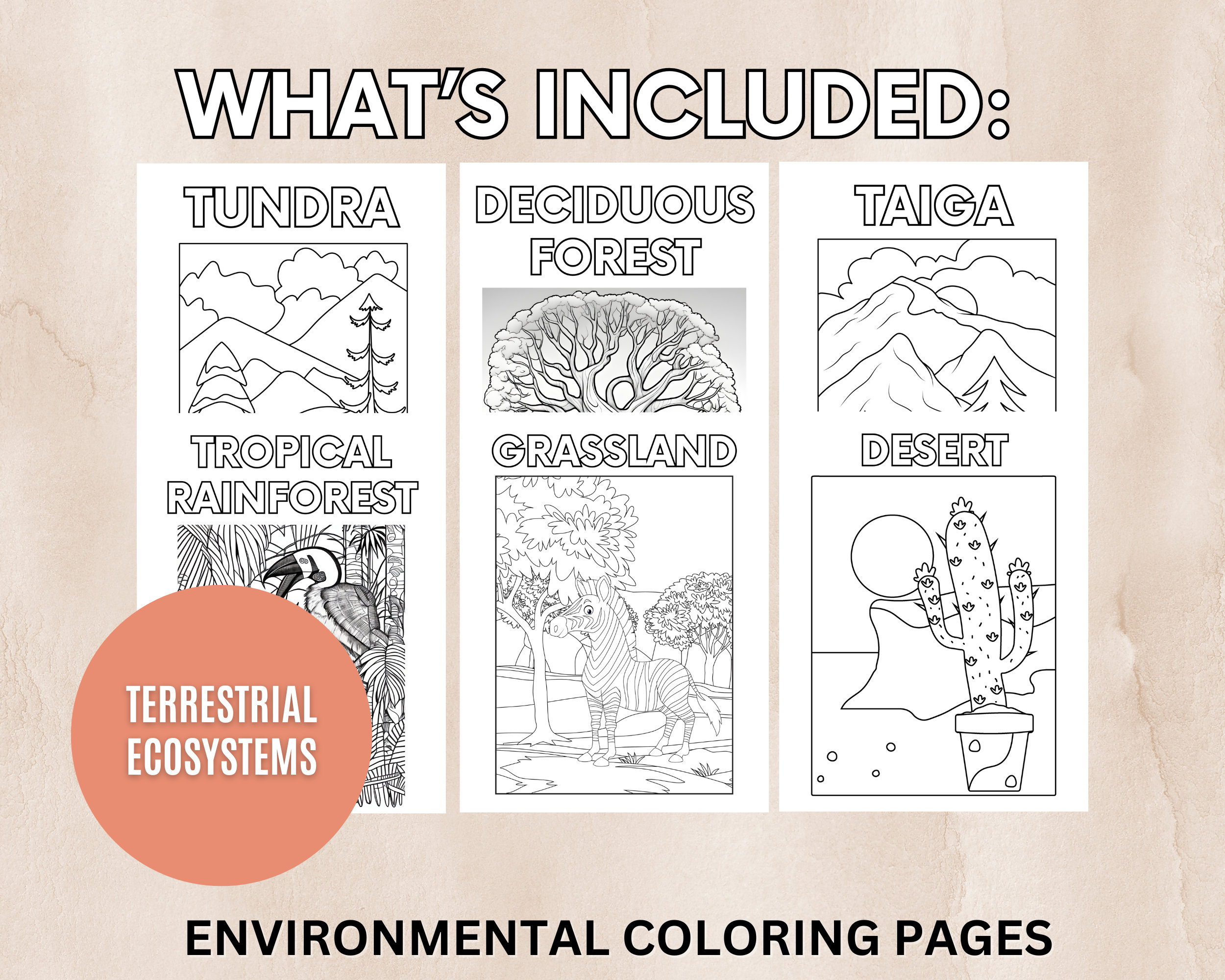 Ecosystem Coloring Pages Activity | Nature Scenes Coloring Book ...