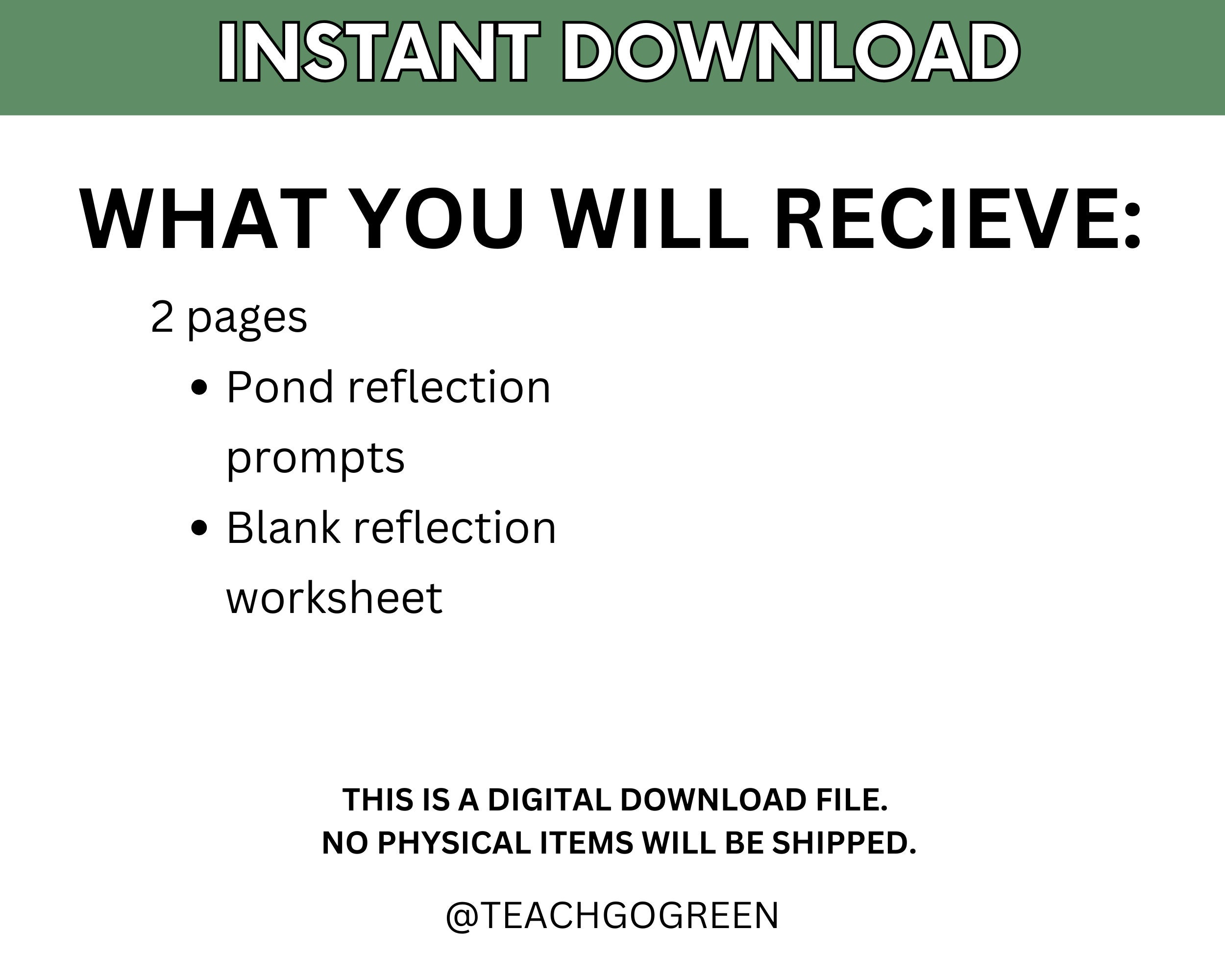 Pond Reflection Prompts | Science Activity | Aquatic Ecosystem Activity ...