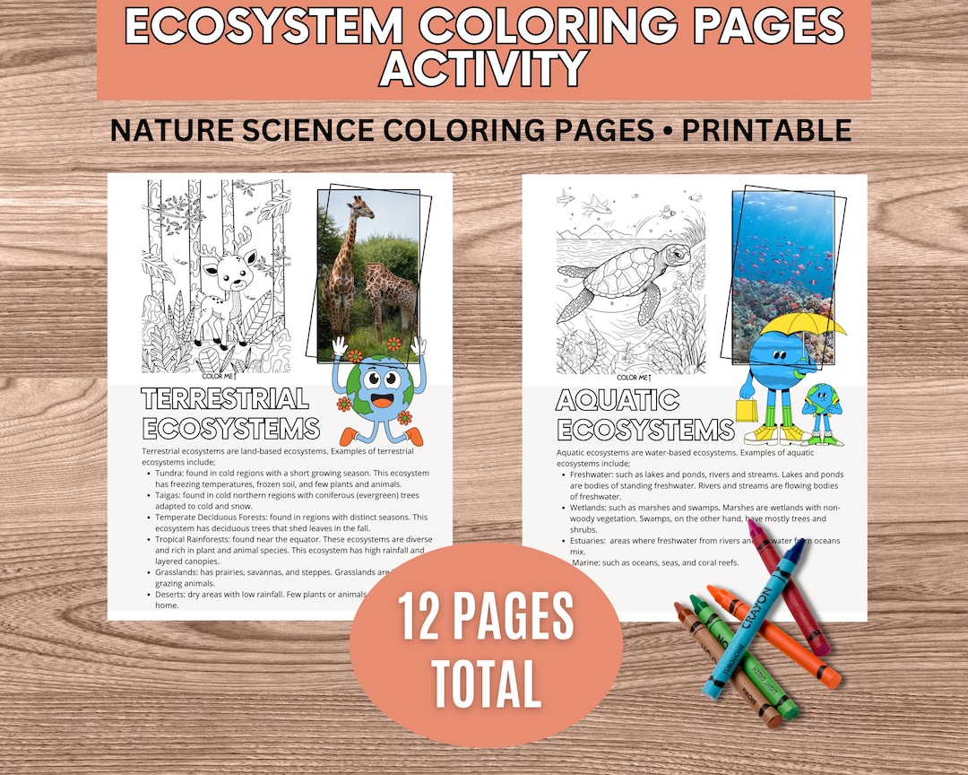 Ecosystem Coloring Pages Activity | Nature Scenes Coloring Book ...