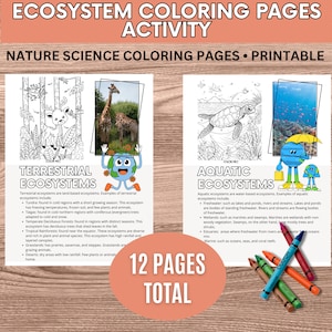 Ecosystem Coloring Pages Activity | Nature Scenes Coloring Book ...