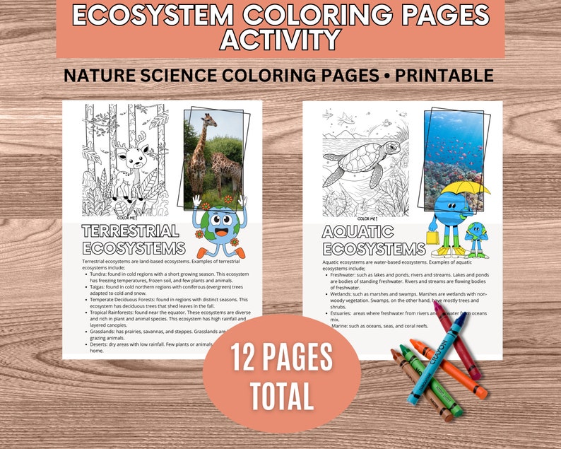 Ecosystem Coloring Pages Activity | Nature Scenes Coloring Book ...