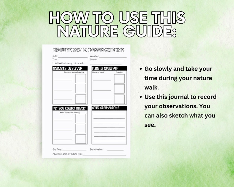 Nature Walk Observation Activity | Outside Nature Activity ...