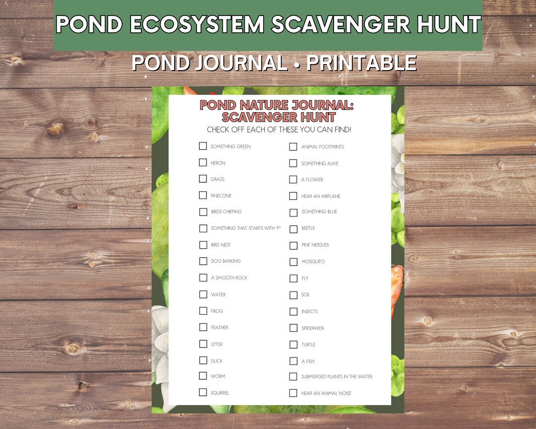 Pond Nature Journal Scavenger Hunt | Educational Activity for Students ...