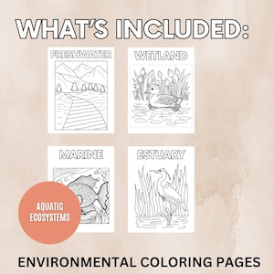 Ecosystem Coloring Pages Activity | Nature Scenes Coloring Book ...