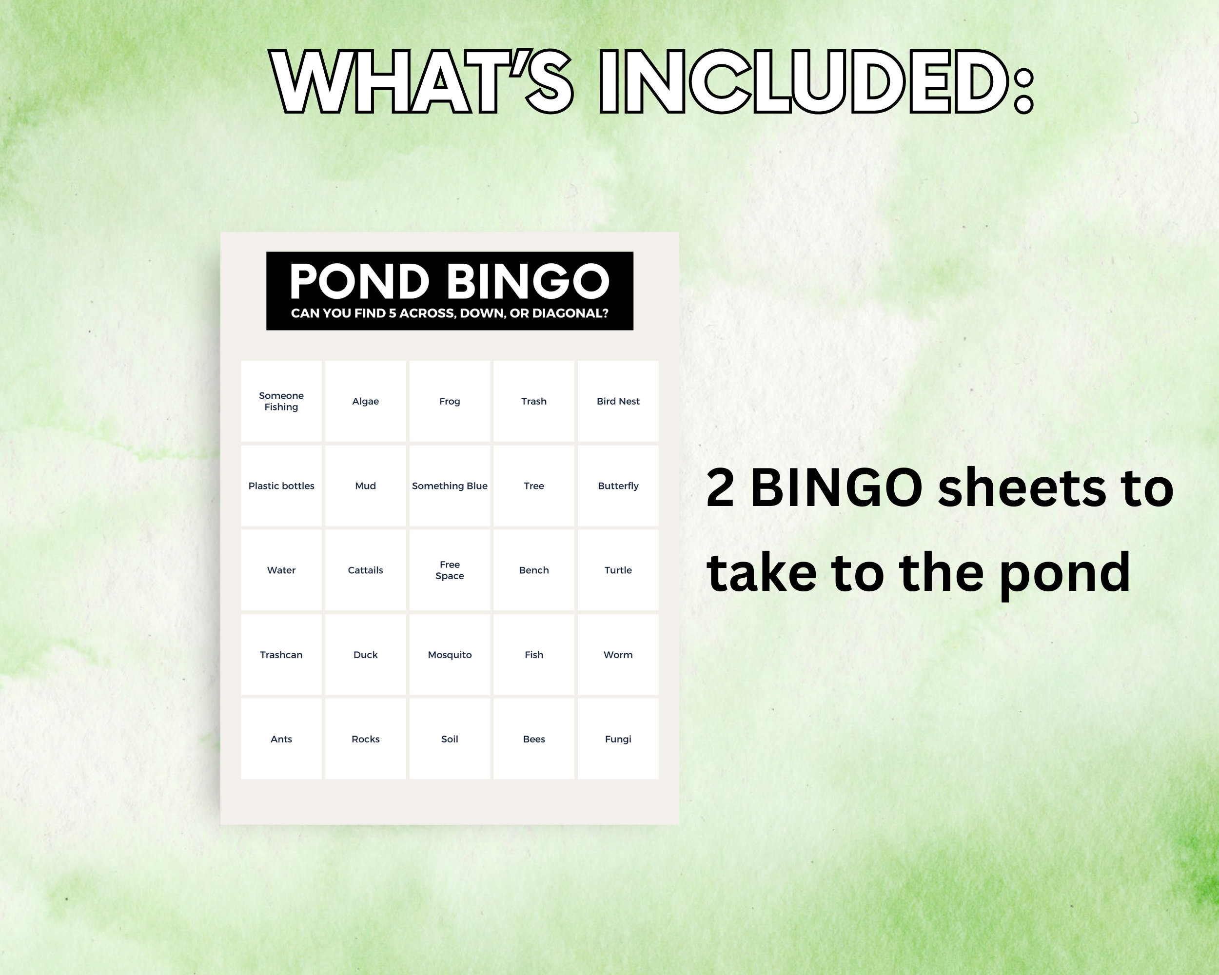 Pond Ecosystem BINGO | Educational Game | Aquatic Ecosystem Activity ...