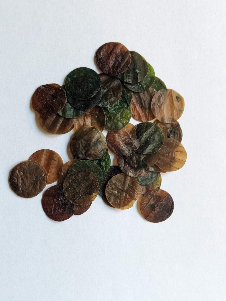 Kombucha Leather Confetti - All-natural, Biodegradable, Eco-friendly - Etsy