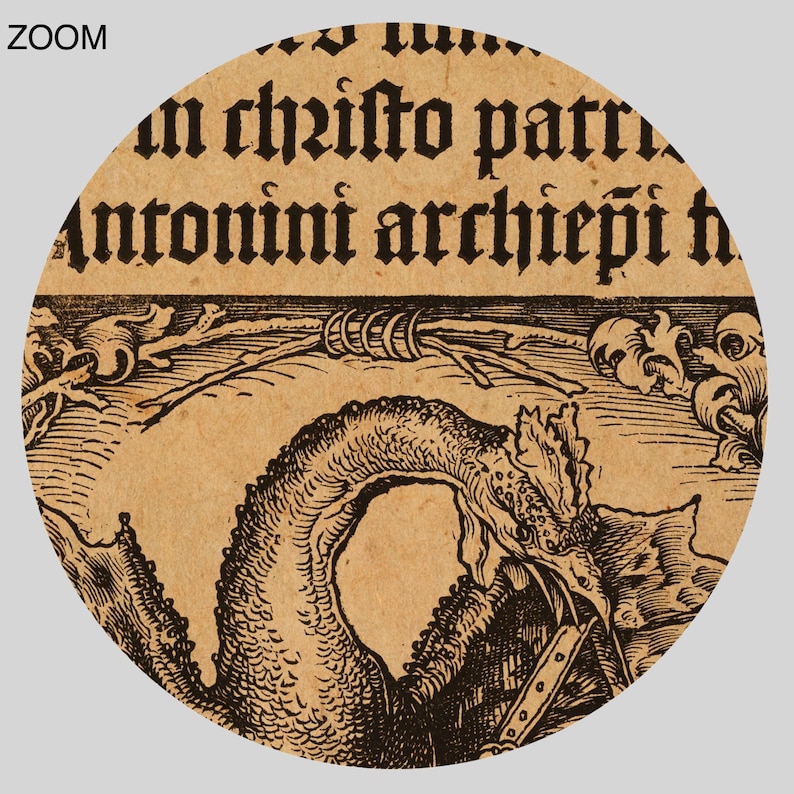 Basilisk of Basel medieval bestiary art rooster monster | Etsy