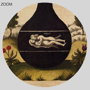 Alchemy Art, Dorum Dei Plate IV Putrefaction, Albedo Nigredo Rubedo ...