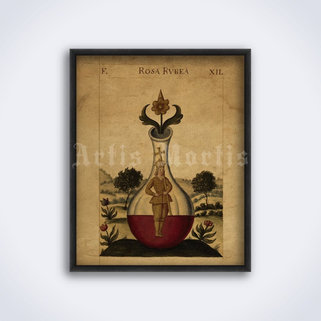 Rosa Rubea Alchemical Print: 17th Century Alchemy Art (digital Download ...