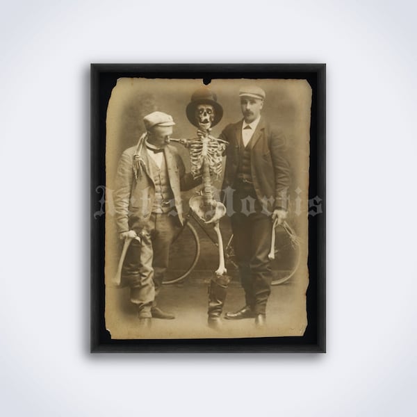 Skeleton Poster - Etsy