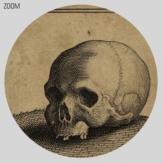 Midevil Skull Drawing Ok. I Have It: Dark Medieval Academia (maybe