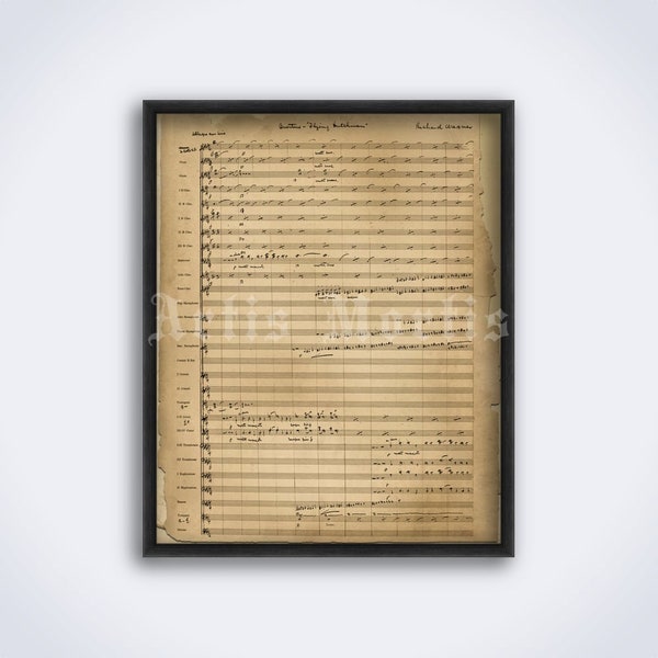 Opera Poster - Etsy