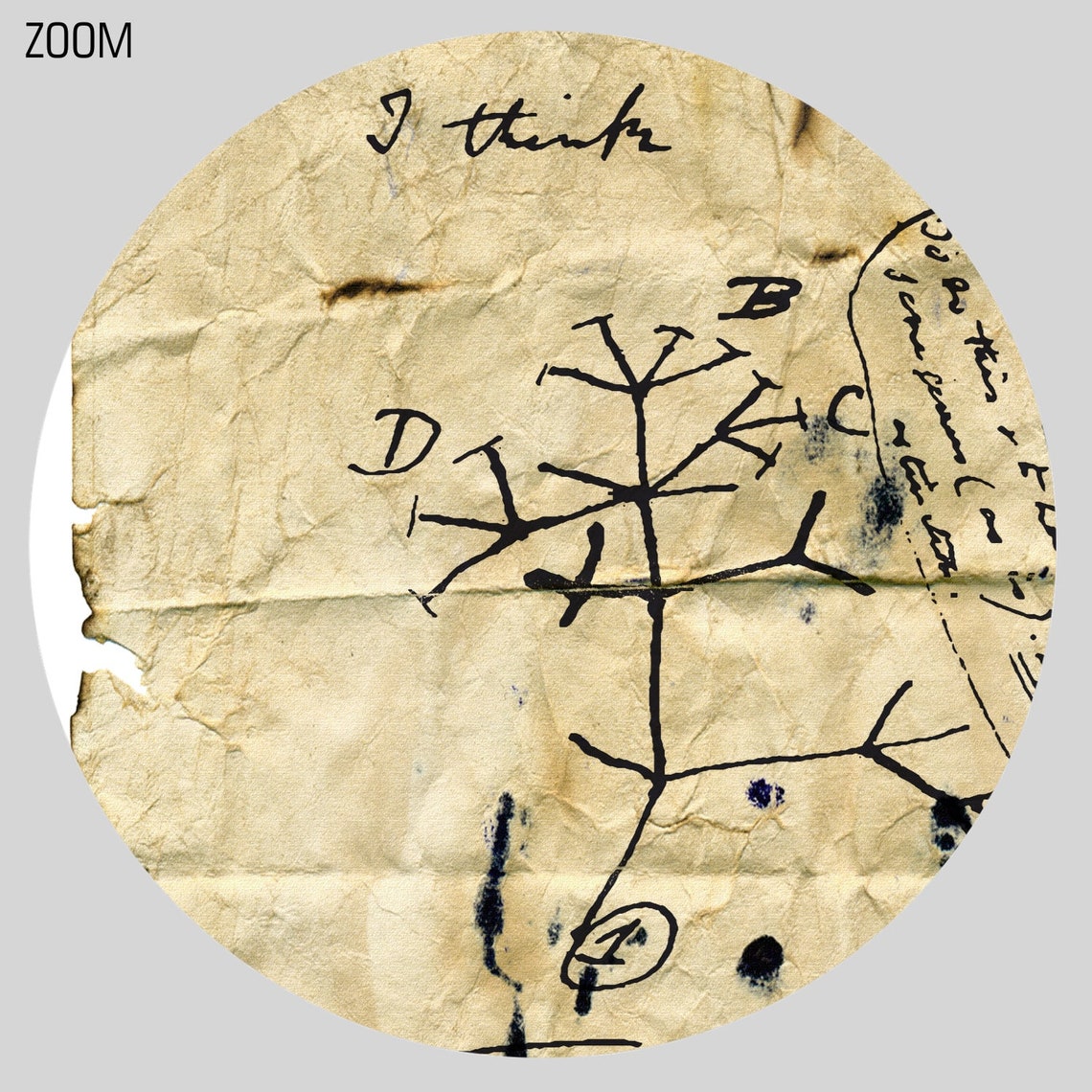 Charles Darwin Notebook Tree of Life Evolution Diagram Sketch Print ...