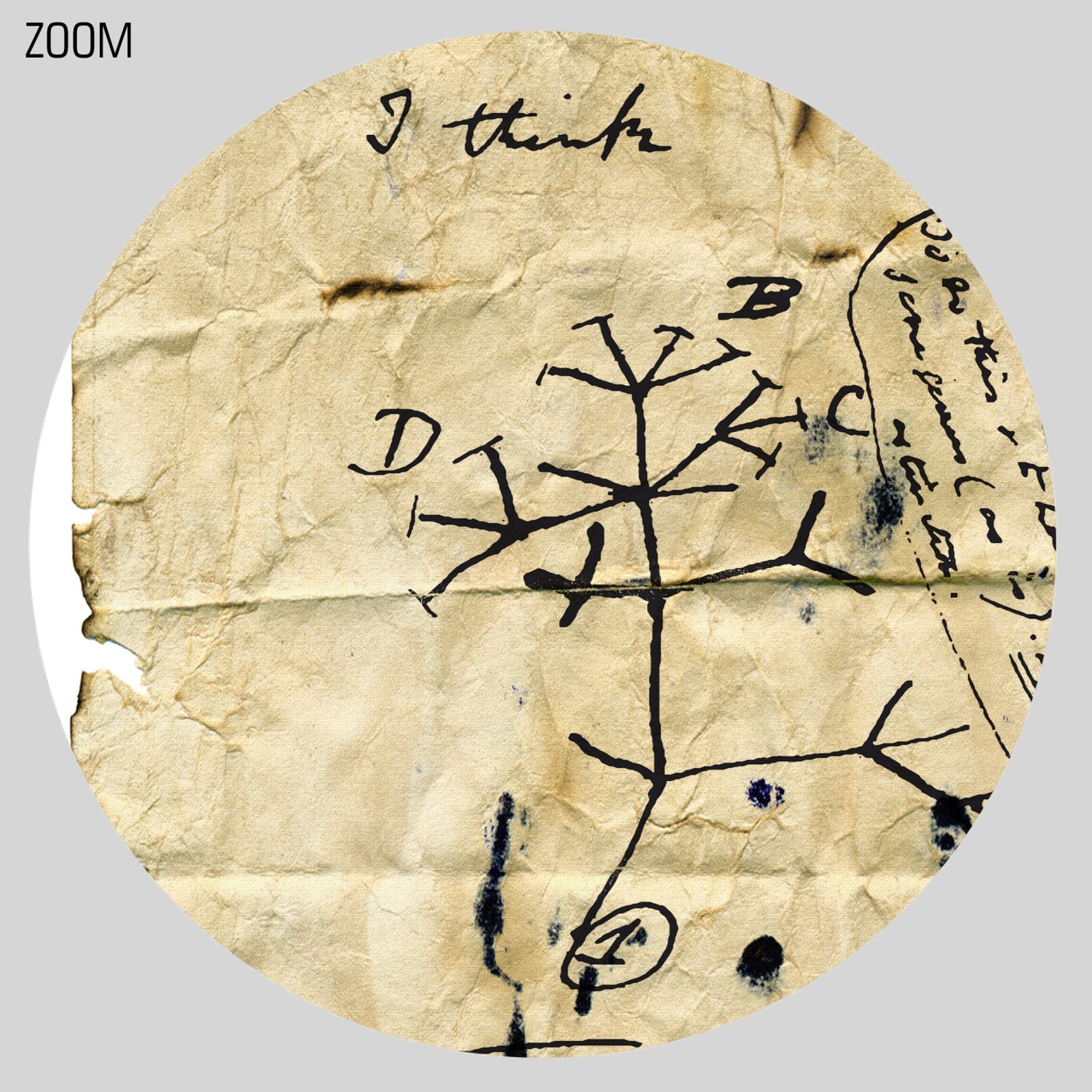 Charles Darwin Notebook Tree of Life Evolution Diagram Sketch Print ...