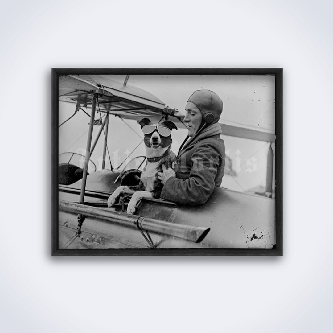 Vintage Dog Pilot Print: Funny Airplane Photo, Retro Aviation Art ...