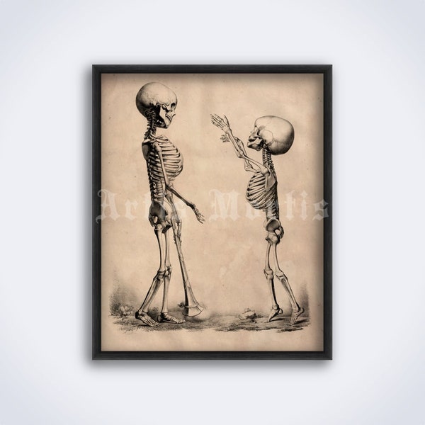 Child Skeleton - Etsy