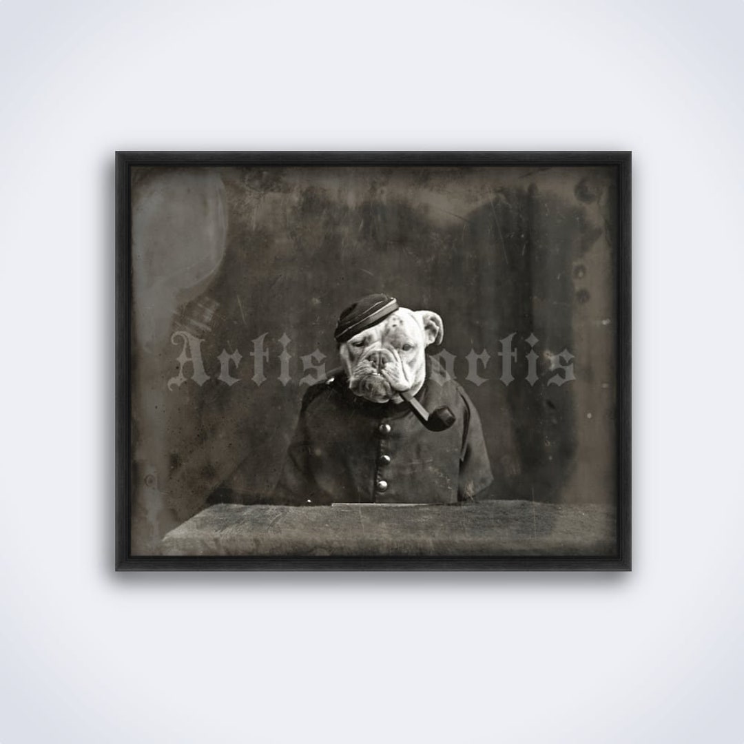 Smoking Dog, English Bulldog With Pipe - Vintage Photo, Retro Humor ...
