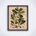Damballah Veve, Voodoo Art, the Great Serpent, Loa, Snake Spirit, Haiti ...