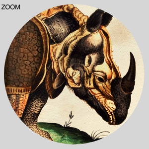 Monstrous Rhinoceros Medieval Bestiary Art, Conrad Gesner, Rhino ...