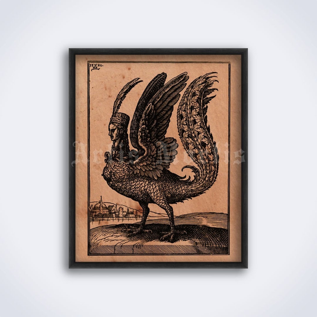 Harpy, Bird of Hell - Medieval Art, Fantasy, Dragon, Monster, Beast ...