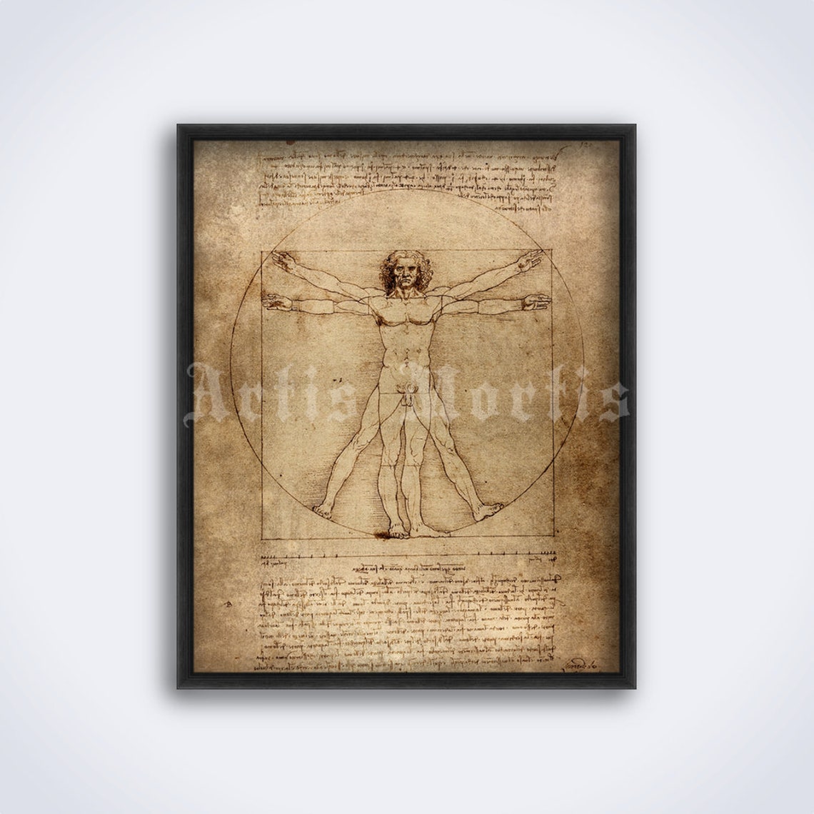Vitruvian Man Drawing by Leonardo Da Vinci, Manuscript, Renaissance ...