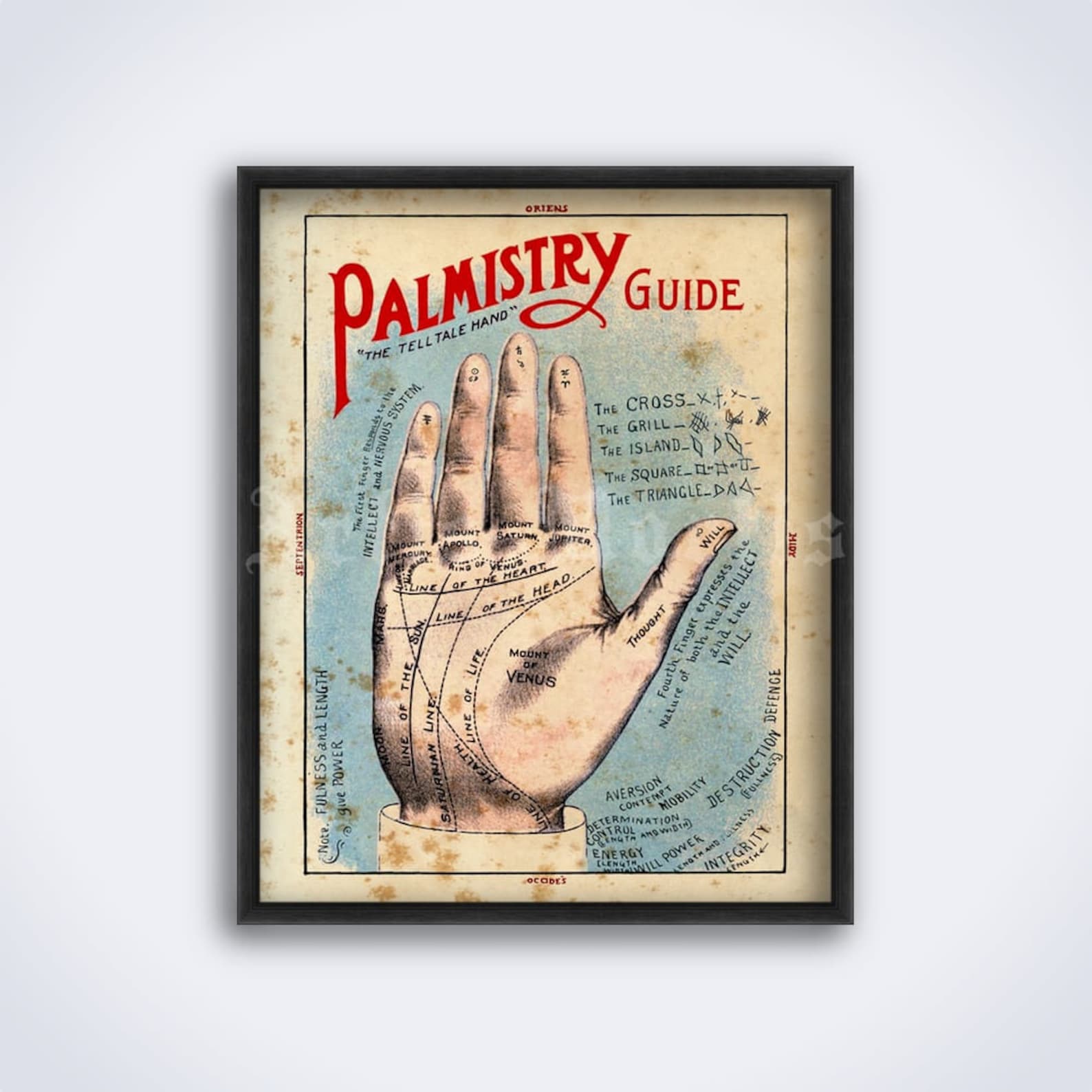 Vintage Palmistry Guide Poster: Chiromancy Hand Diagram (digital ...